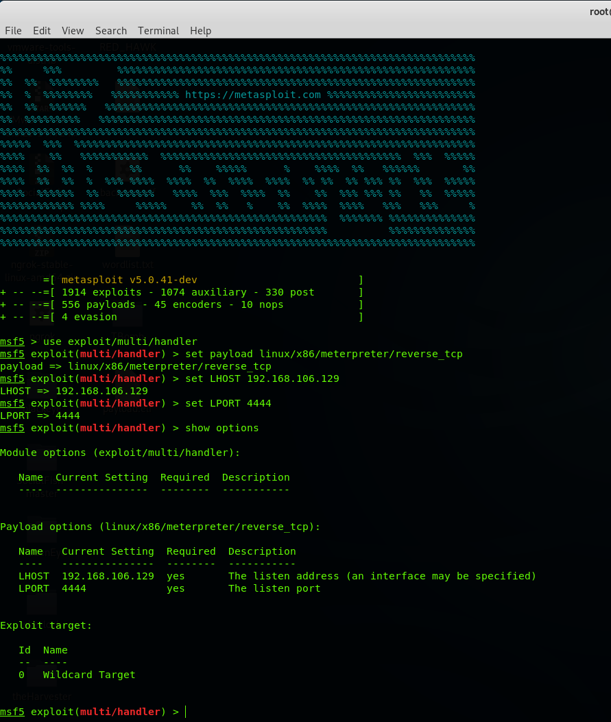 Hacking Web Server Ftp Backdoor Command Execution 8887