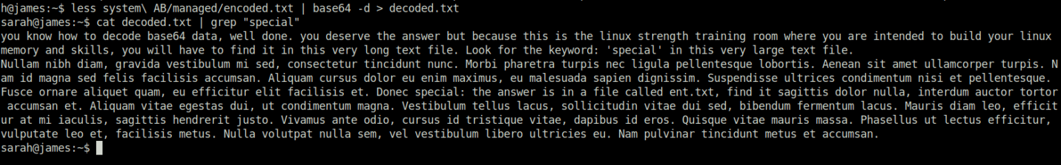 Tryhackme - Linux Strength Training