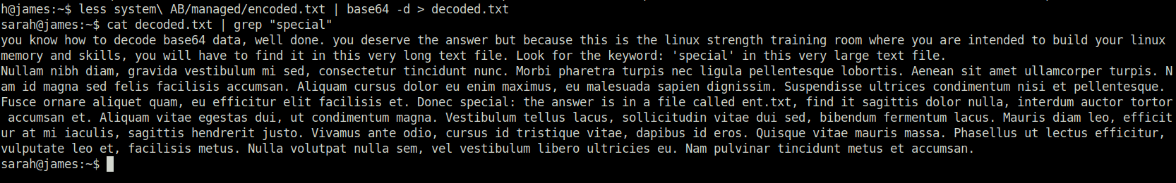 Tryhackme - Linux Strength Training
