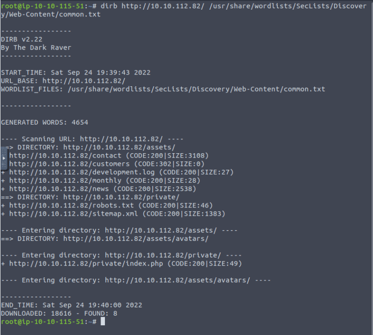 Tryhackme - Content Discovery