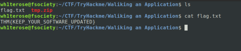 Tryhackme - Walking An Application